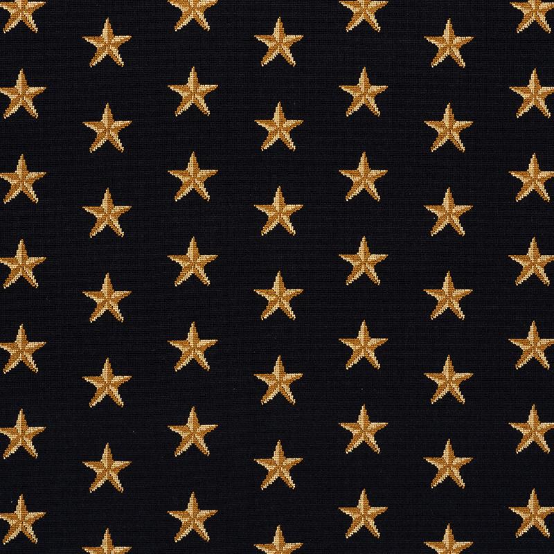 Schumacher Star Pingl Black Fabric – DecoratorsBest