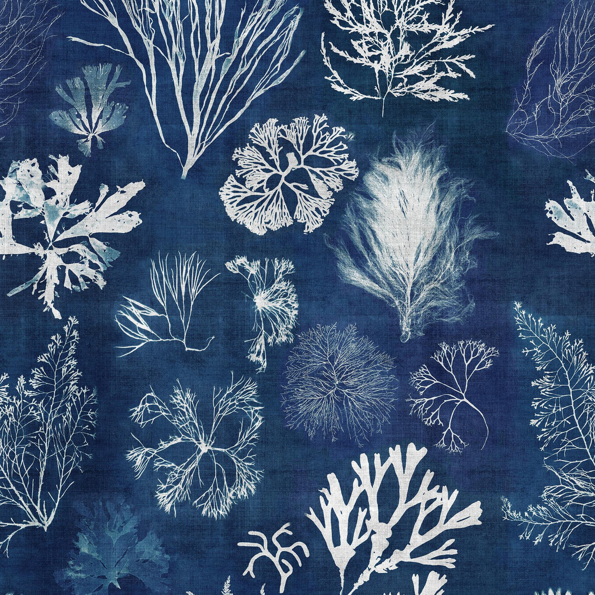 Mindthegap Algae Navy Blue Atoll Wallpaper – DecoratorsBest