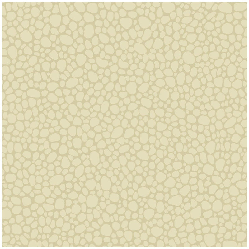 Cole & Son Pebble Cream Wallpaper – DecoratorsBest