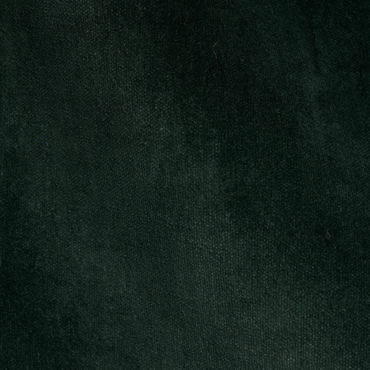 Schumacher Rocky Performance Velvet Pine Fabric – DecoratorsBest