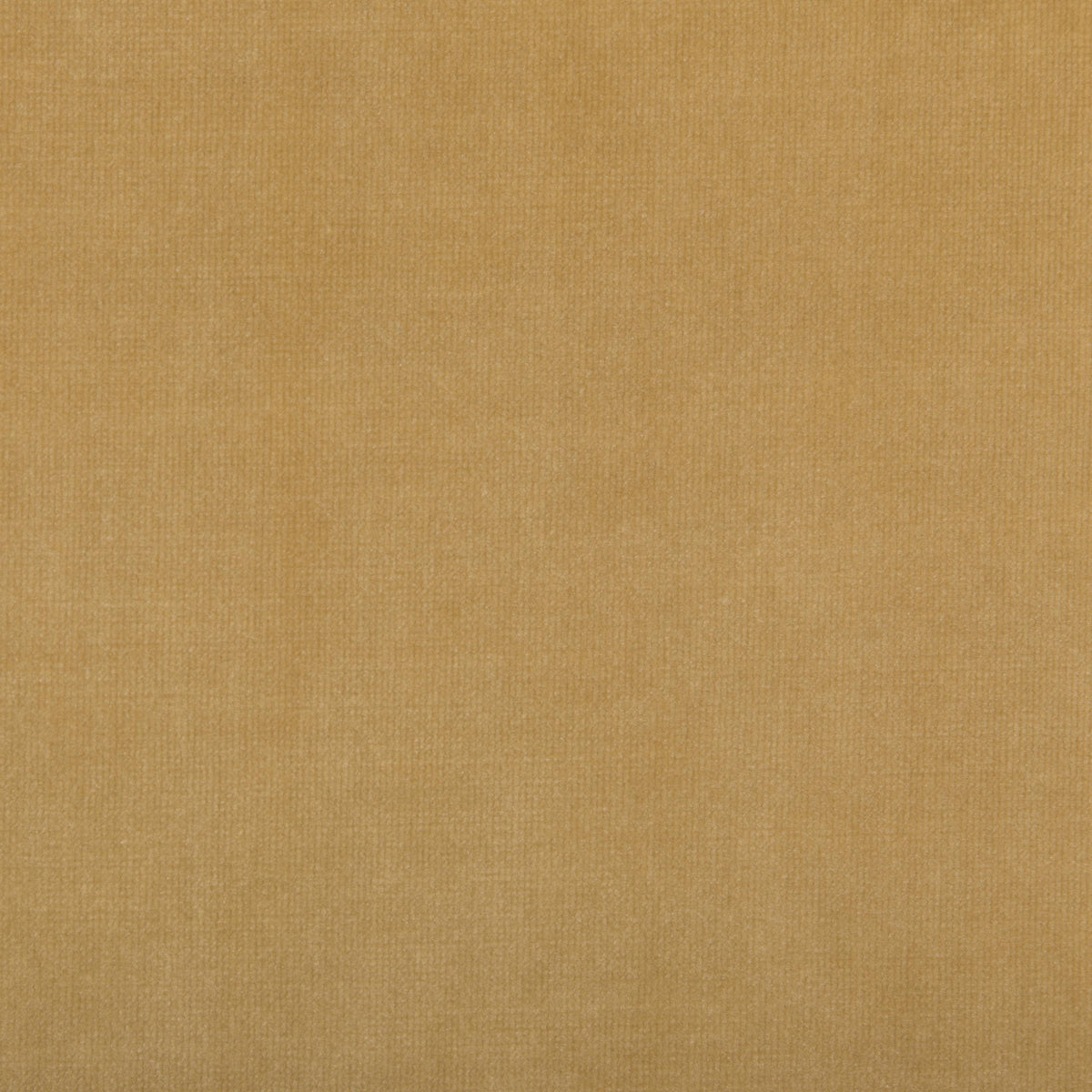 Kravet Calmative Camel Upholstery Fabric – DecoratorsBest