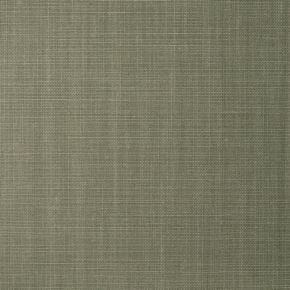 Winfield Thybony Balen Olivene Wallpaper – DecoratorsBest