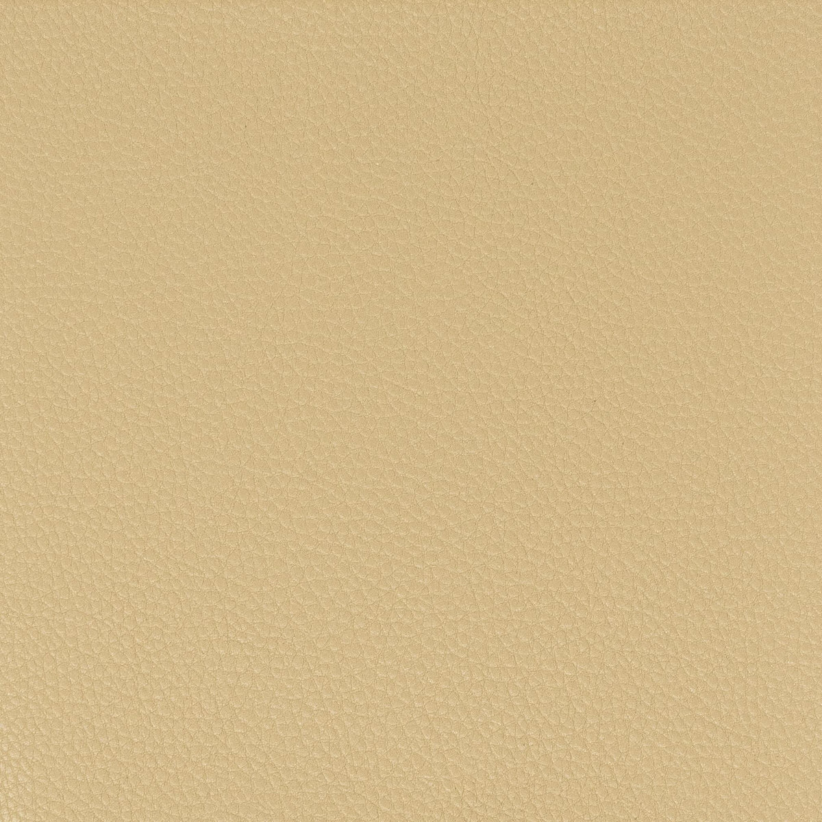 Stout Pitcher Camel Fabric – DecoratorsBest