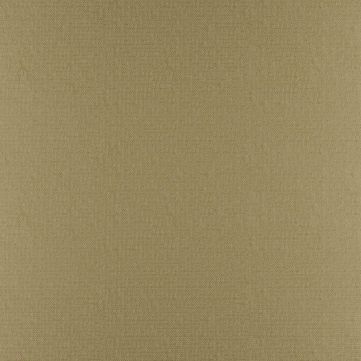 Maxwell Phobos #315 Cane Upholstery Fabric – DecoratorsBest