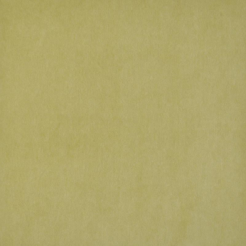 Maxwell Snug #424 Citron Fabric – DecoratorsBest