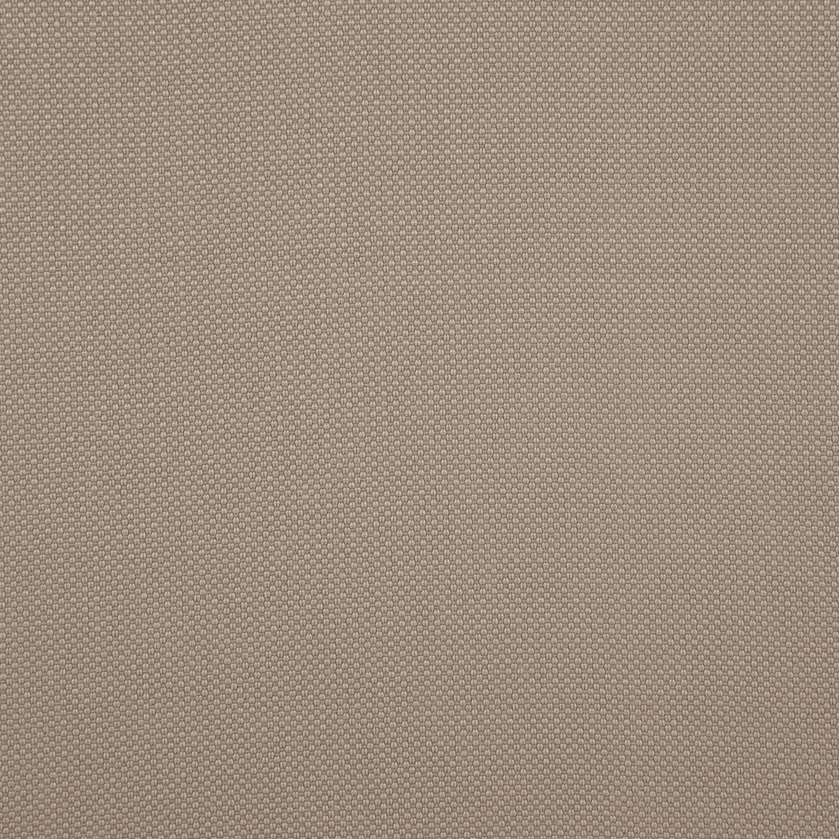 Maxwell Tesseract #02 Funghi** Drapery Fabric – DecoratorsBest