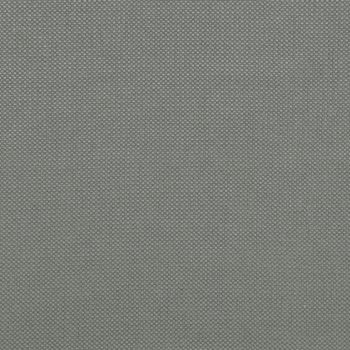 Maxwell Tesseract #24 Shark** Drapery Fabric – DecoratorsBest