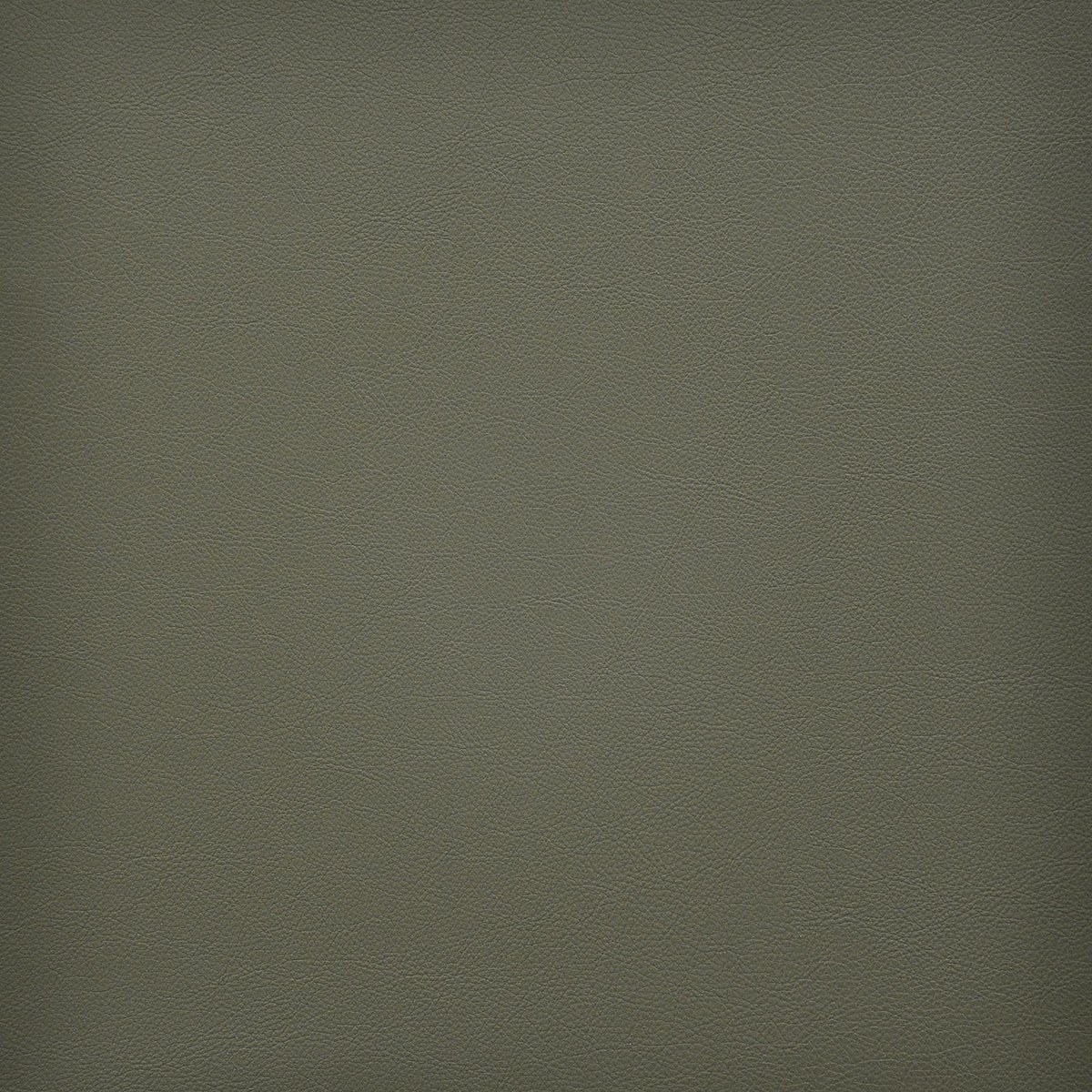 Maxwell Vesper #249 Sage Fabric – DecoratorsBest