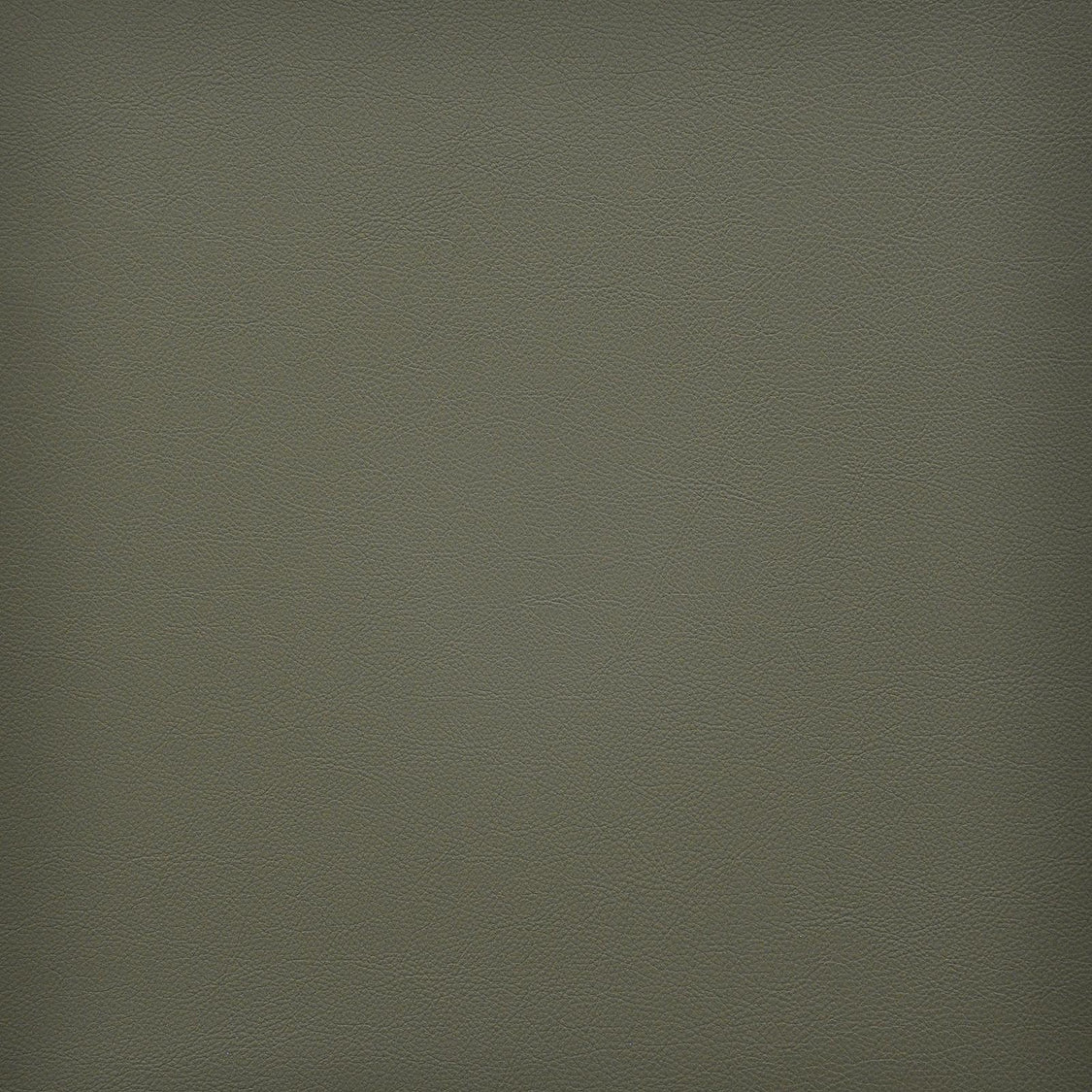 Maxwell Vesper #249 Sage Fabric – DecoratorsBest