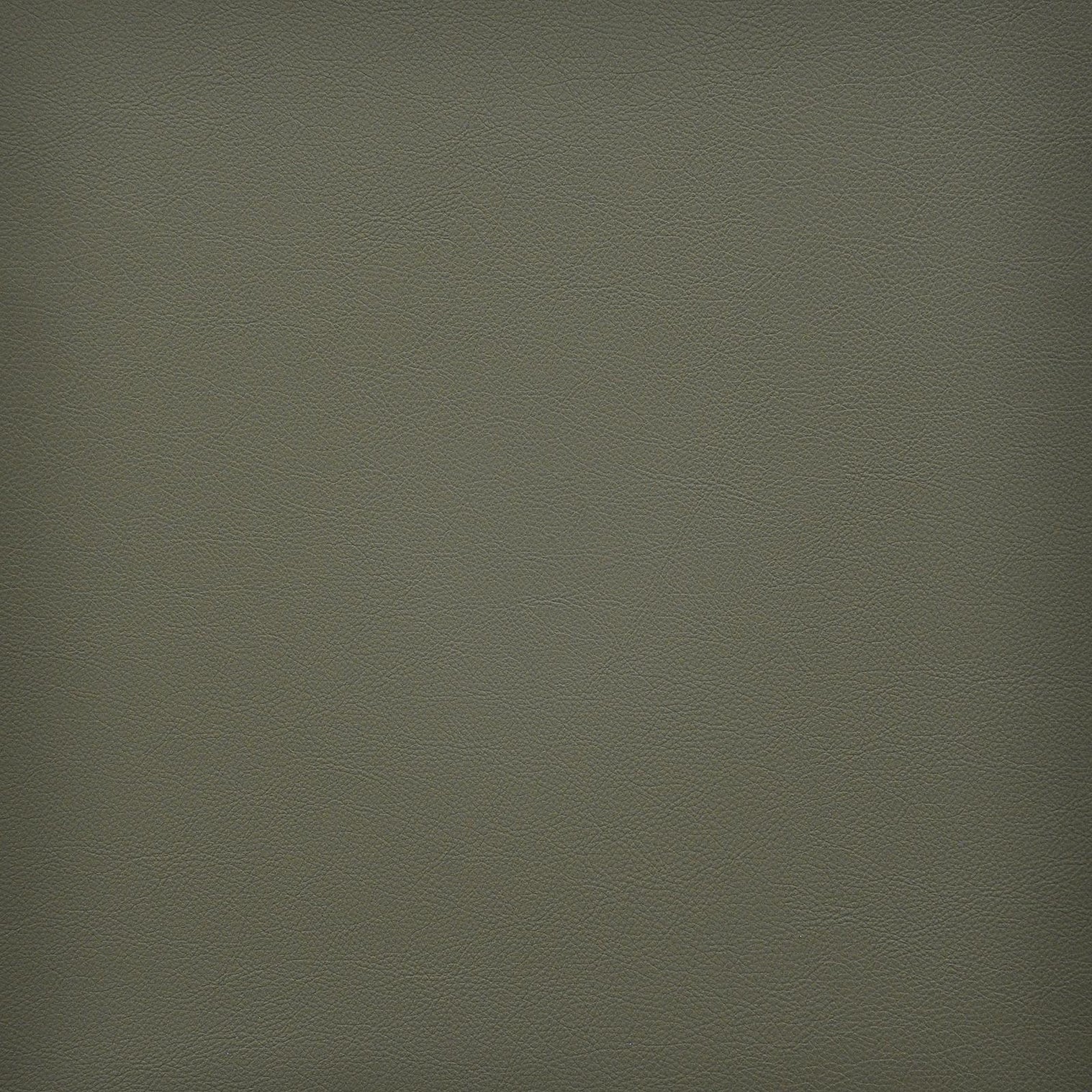 Maxwell Vesper #249 Sage Fabric – DecoratorsBest