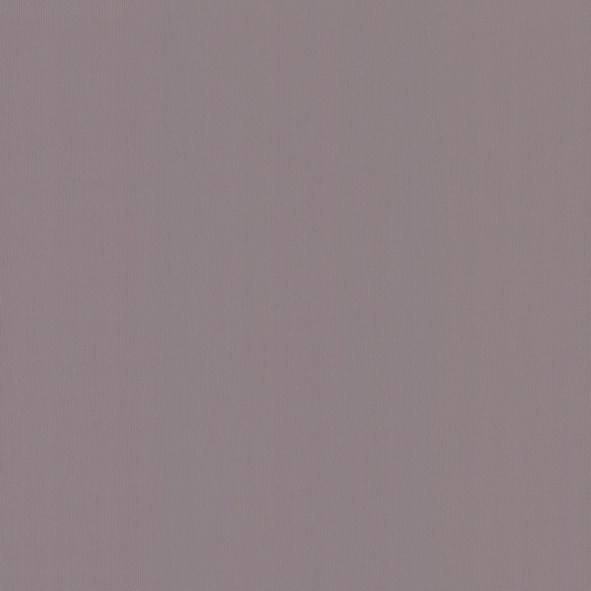 York Wallcoverings Radiant Juniper Purple Wallpaper – DecoratorsBest