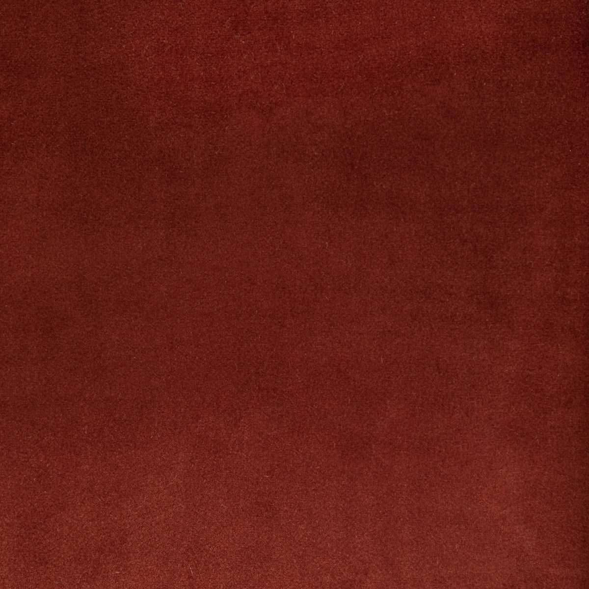 Kravet Rocco Velvet Clay Upholstery Fabric – DecoratorsBest