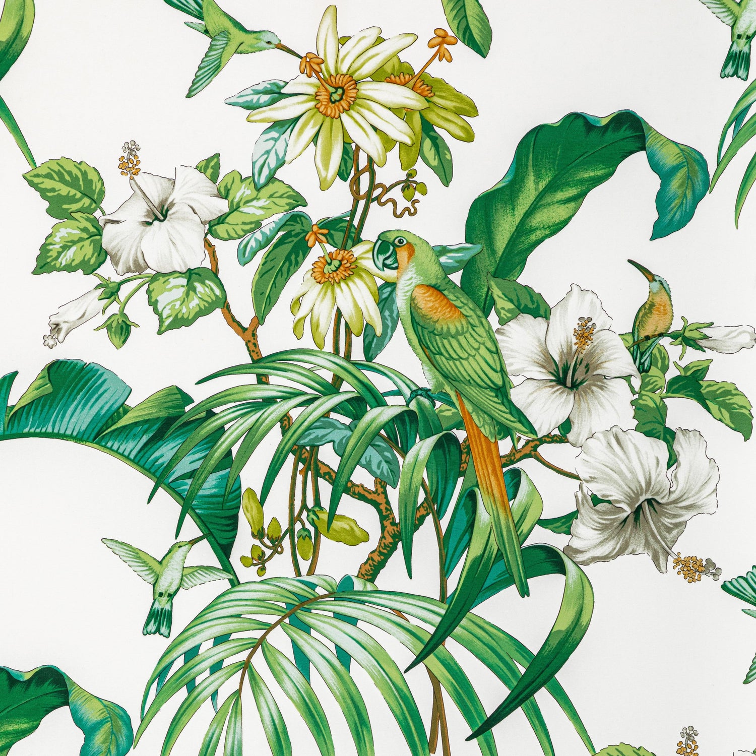 Brunschwig & Fils Anima Print Leaf Fabric – DecoratorsBest