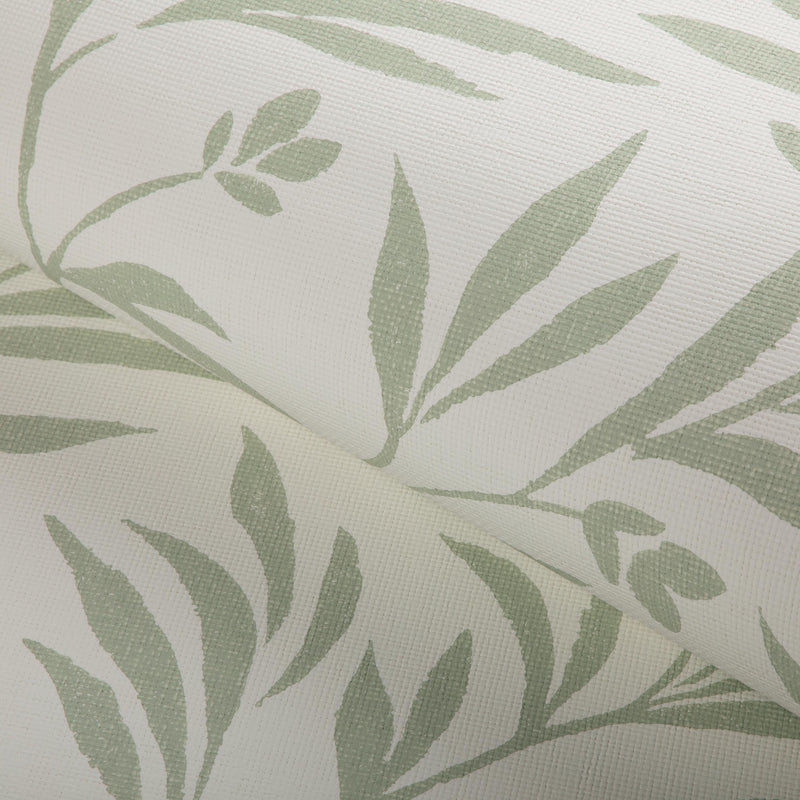 Kravet Wispy Vines Wp Lichen Wallpaper – DecoratorsBest