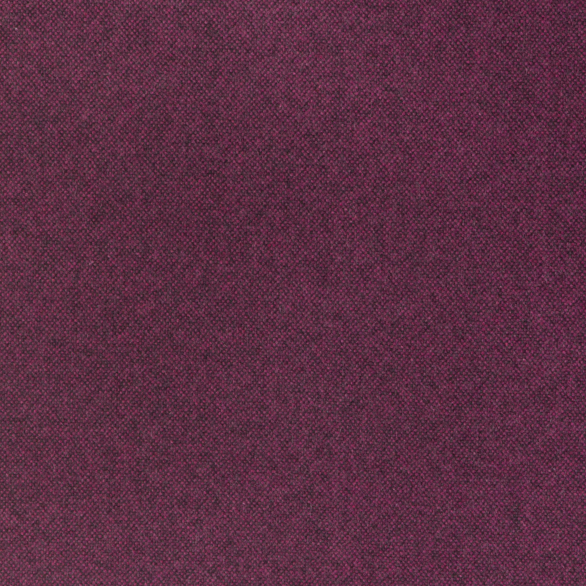 Kravet Manchester Wool Mulberry Upholstery Fabric – DecoratorsBest