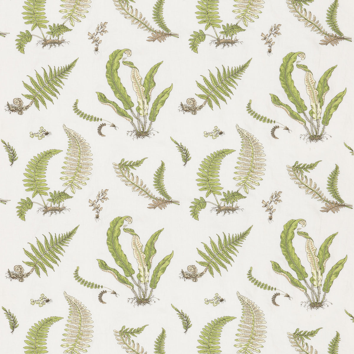 G P & J Baker Ferns Embroidery Green Drapery Fabric – DecoratorsBest