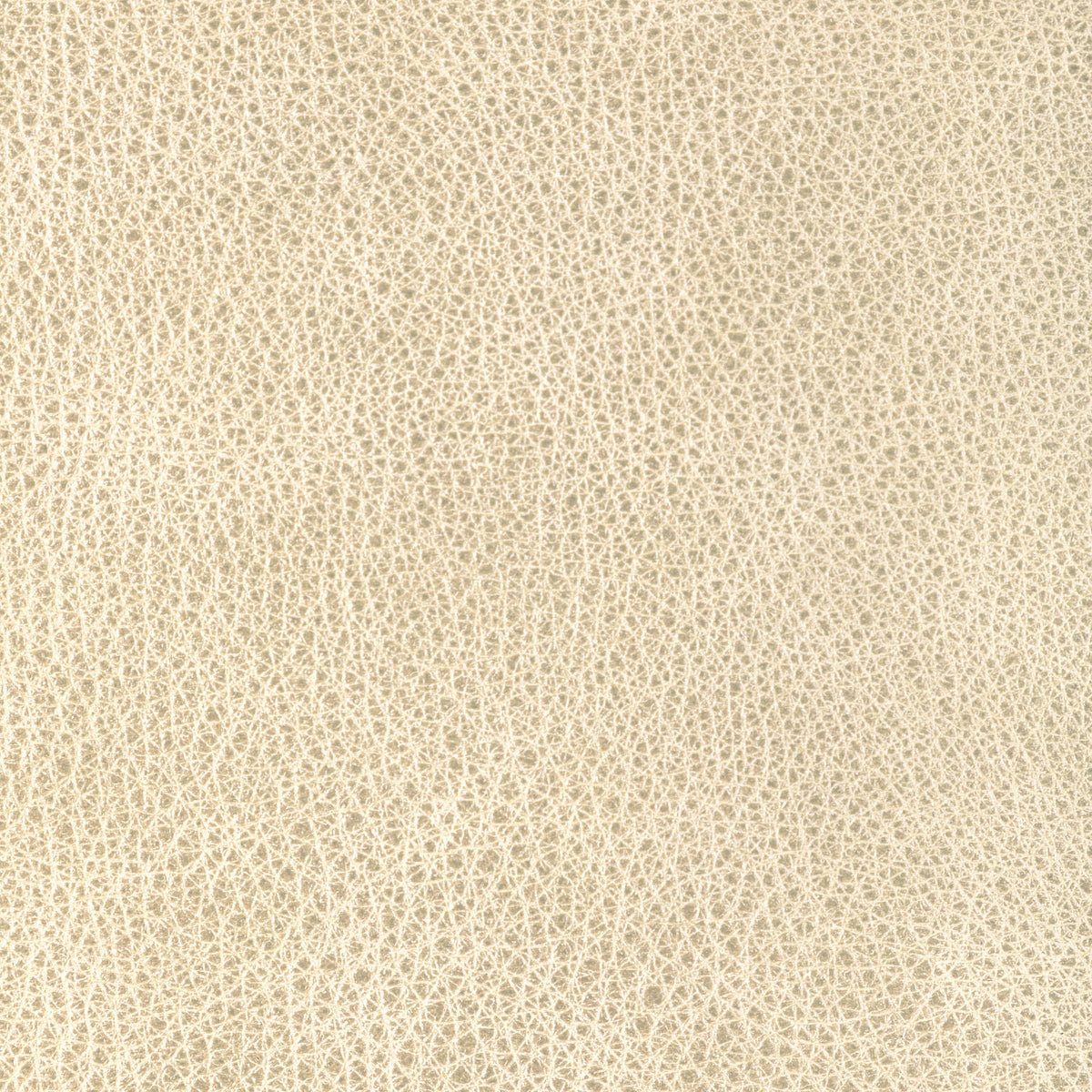 Kravet Design L Cimarron-Cloud Upholstery Fabric – DecoratorsBest