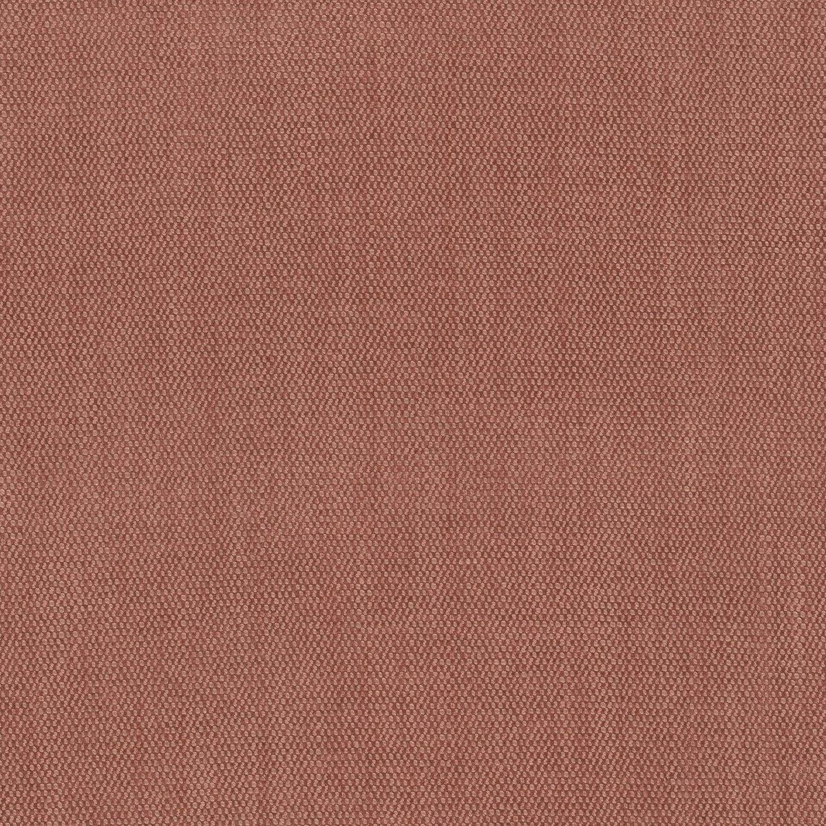 Stout Dimitri Spice Fabric – DecoratorsBest