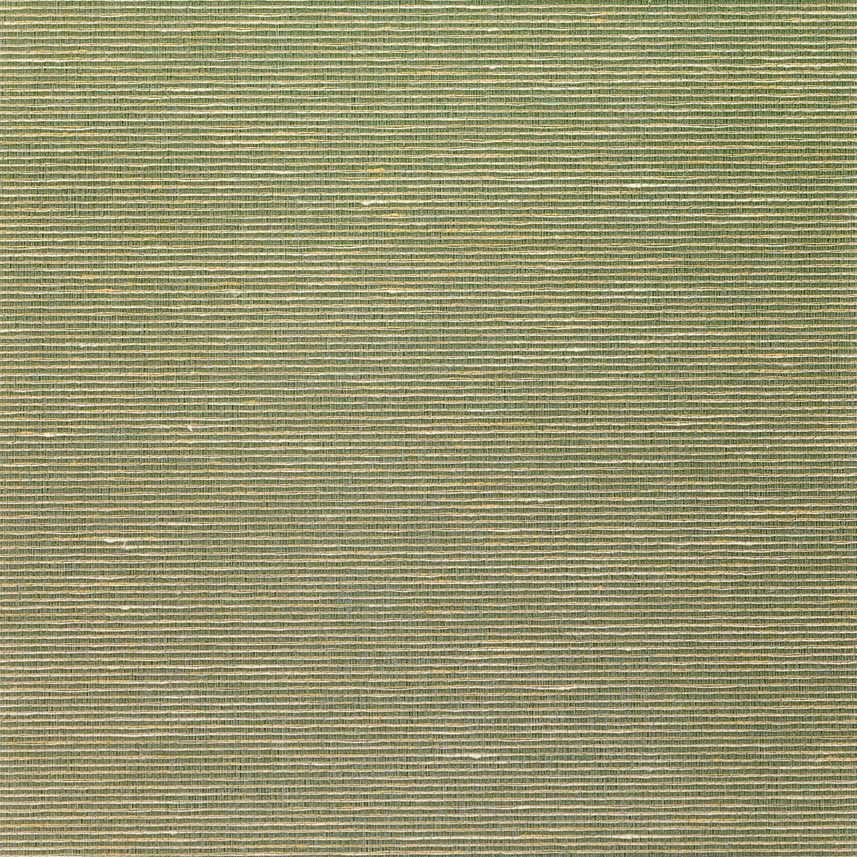 Winfield Thybony Althea Plain Olive Wallpaper – DecoratorsBest