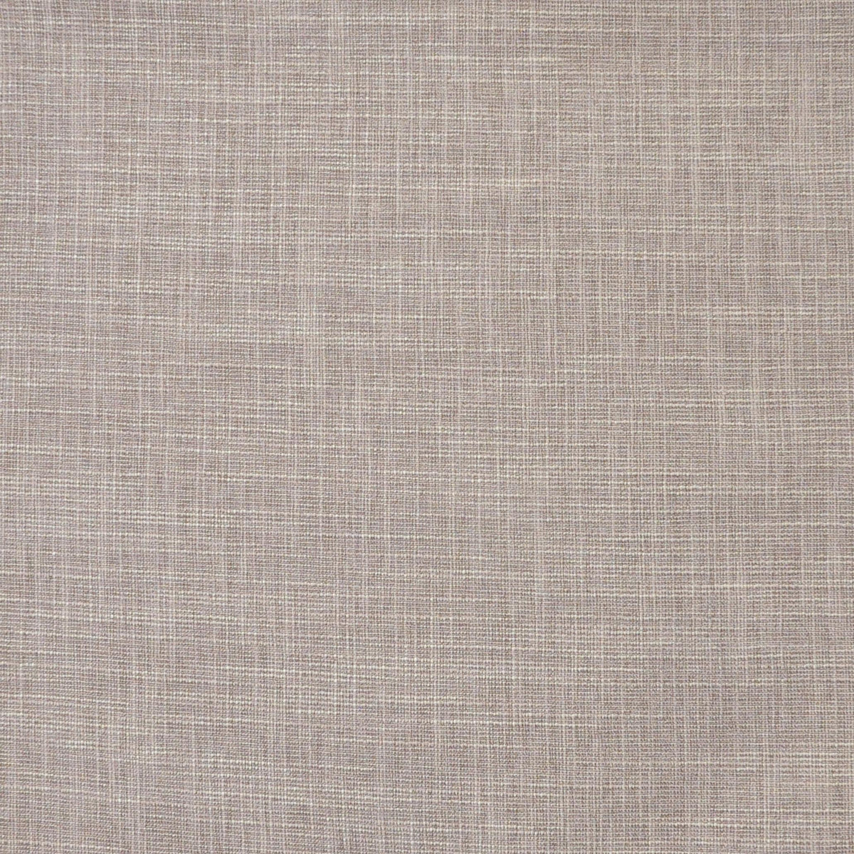 Maxwell Daintree #550 Orchid Drapery Fabric – DecoratorsBest
