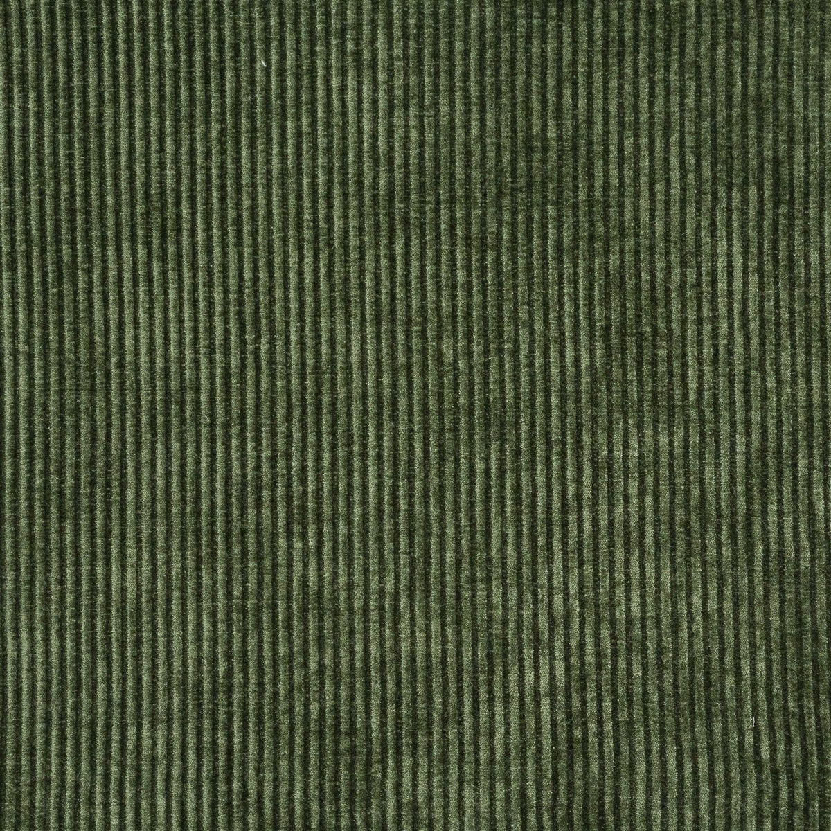 Maxwell Railtown #914 Cucumber Upholstery Fabric – DecoratorsBest