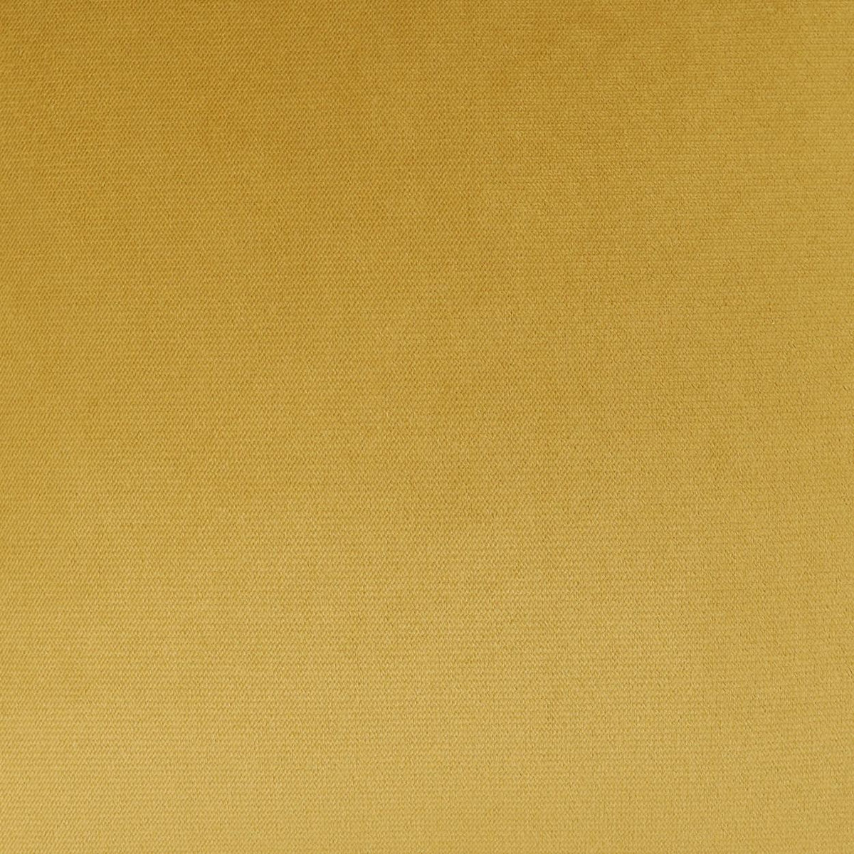 D.V. Kap Home Belvedere Curry Fabric – DecoratorsBest