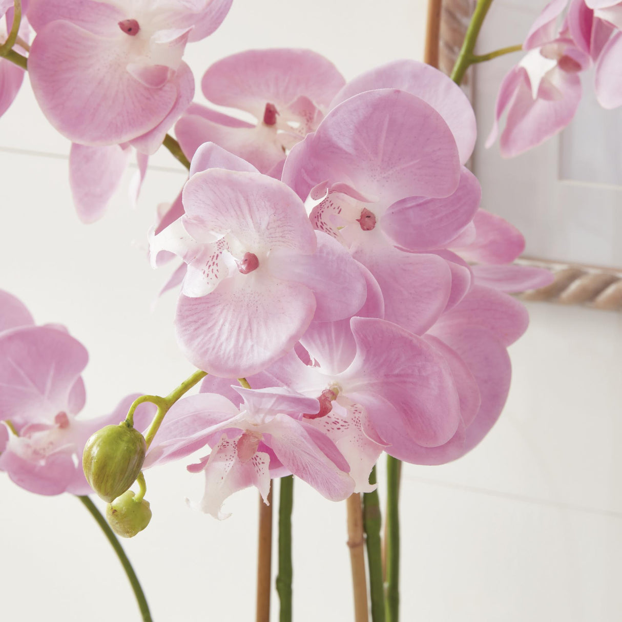 Napa Pink Phalaenopsis Orchid Drop-In 30" – DecoratorsBest
