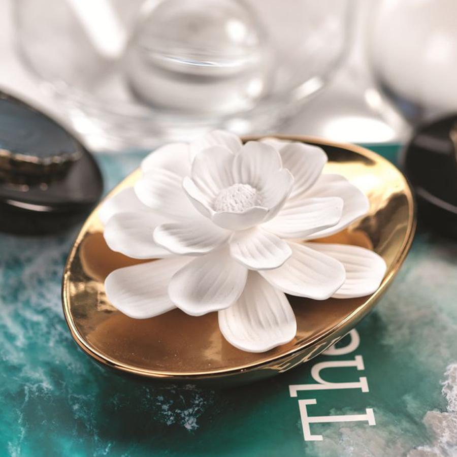 Zodax Dream Porcelain Flower Diffuser, African Daisy Fragrance ...