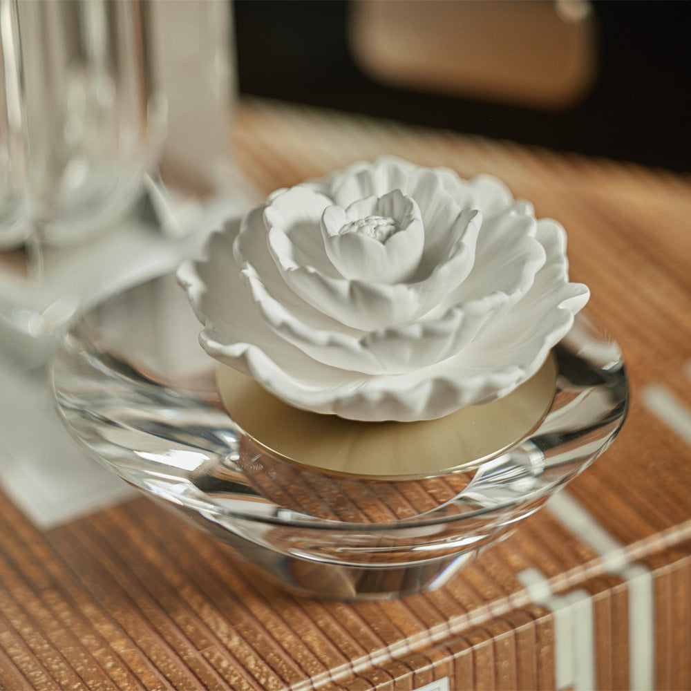 Zodax – DecoratorsBest