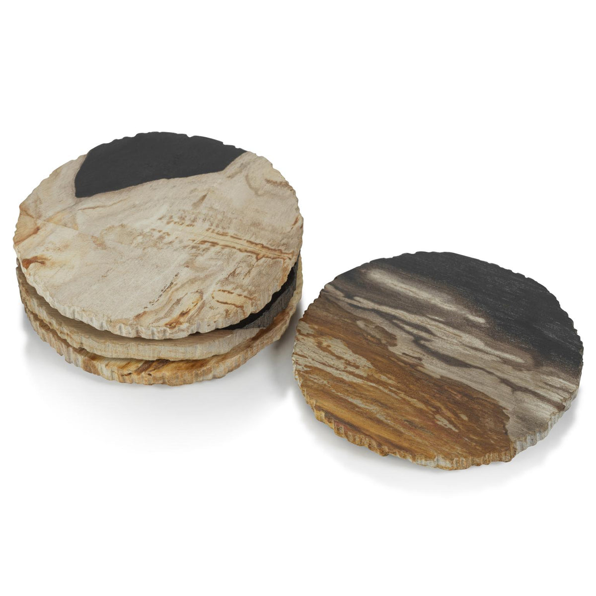 Zodax Plover 4" Petrified Wood Coasters, Set Of 4 – DecoratorsBest