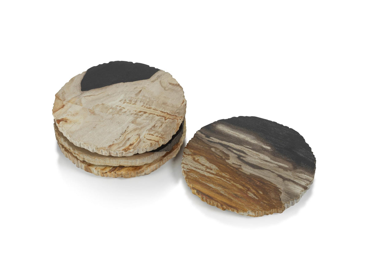 Zodax Plover 4" Petrified Wood Coasters, Set Of 4 – DecoratorsBest