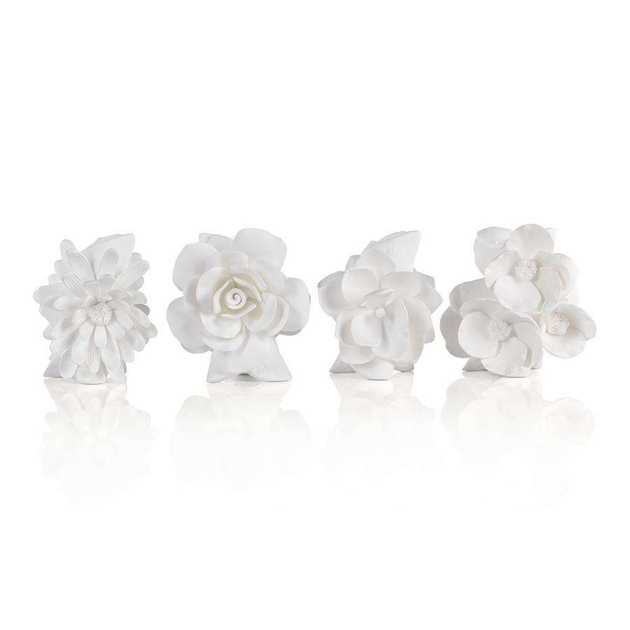 Zodax – DecoratorsBest