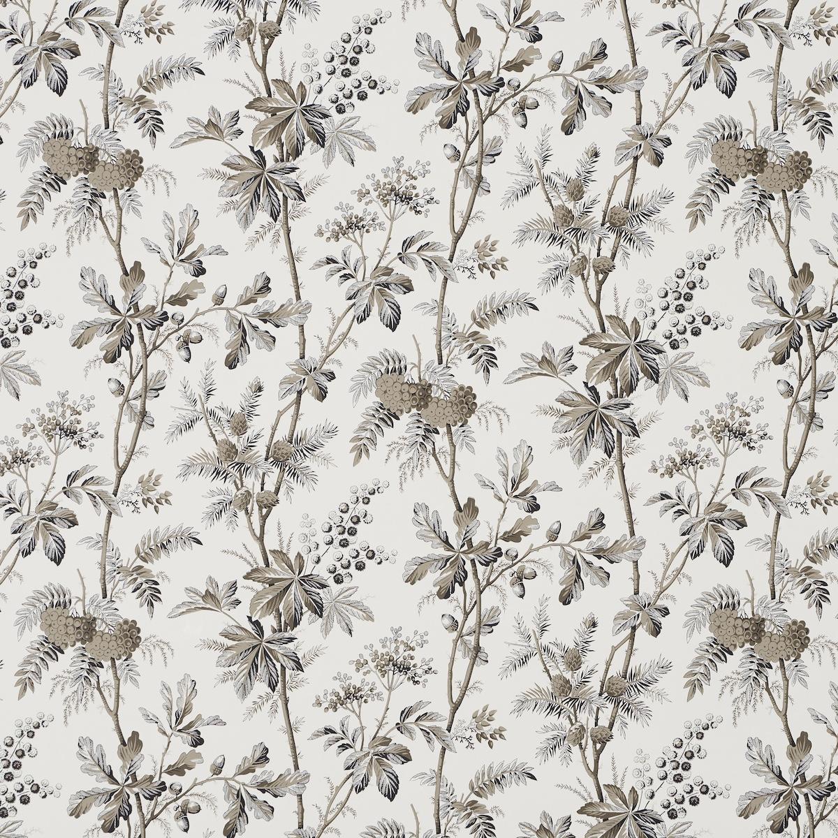 Schumacher Brantwood Vine Graphite Wallpaper – DecoratorsBest