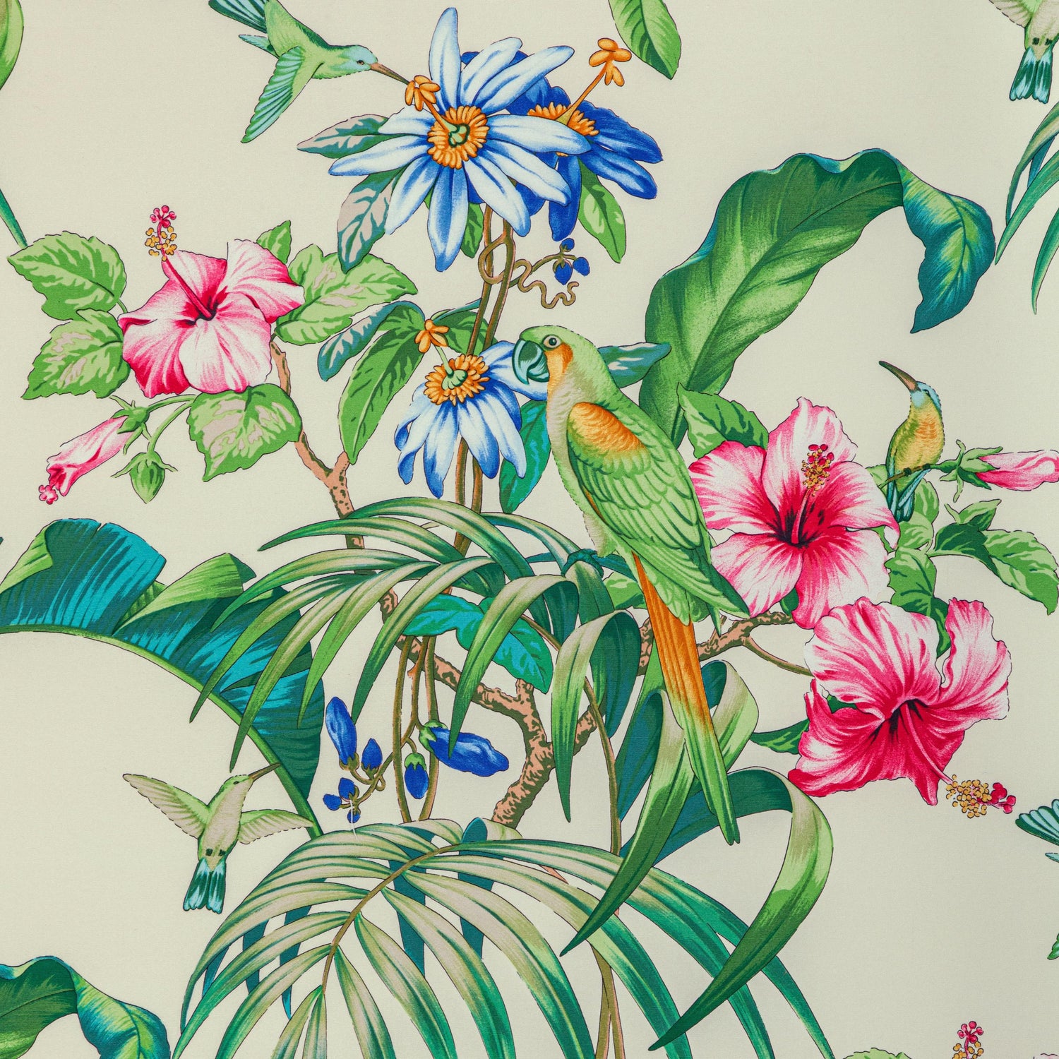 Brunschwig & Fils Anima Print Ivory Fabric – DecoratorsBest