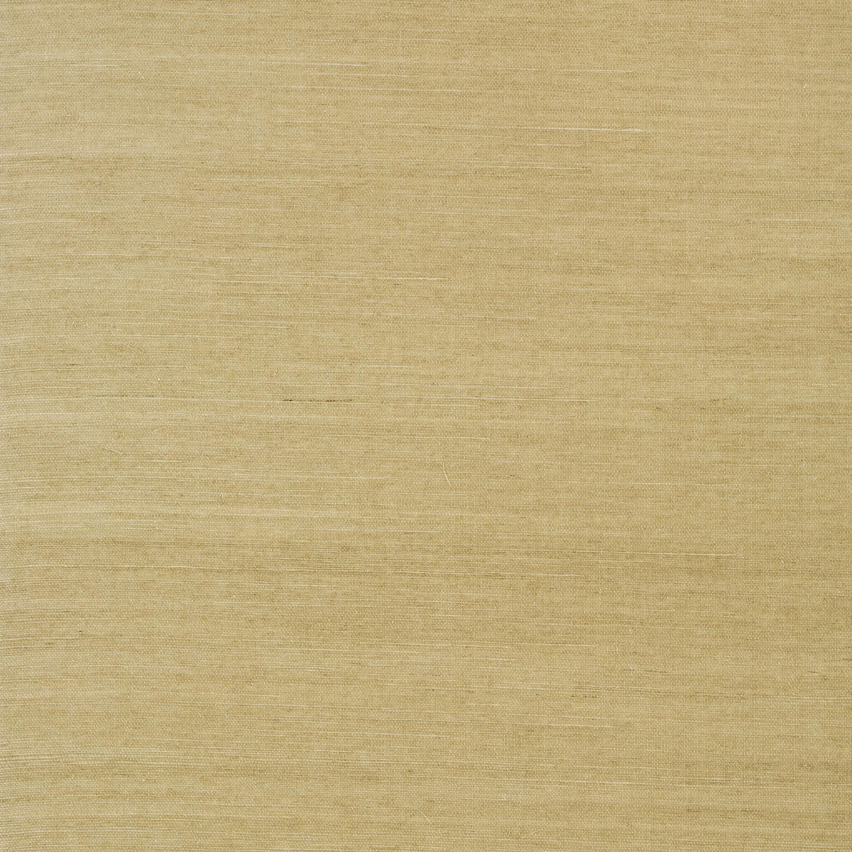 Thibaut Shang Extra Fine Sisal Stone Wallpaper – DecoratorsBest