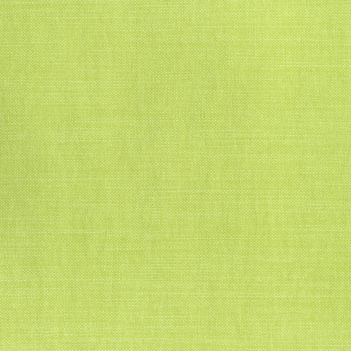 Thibaut Prisma Spring Green Fabric – DecoratorsBest
