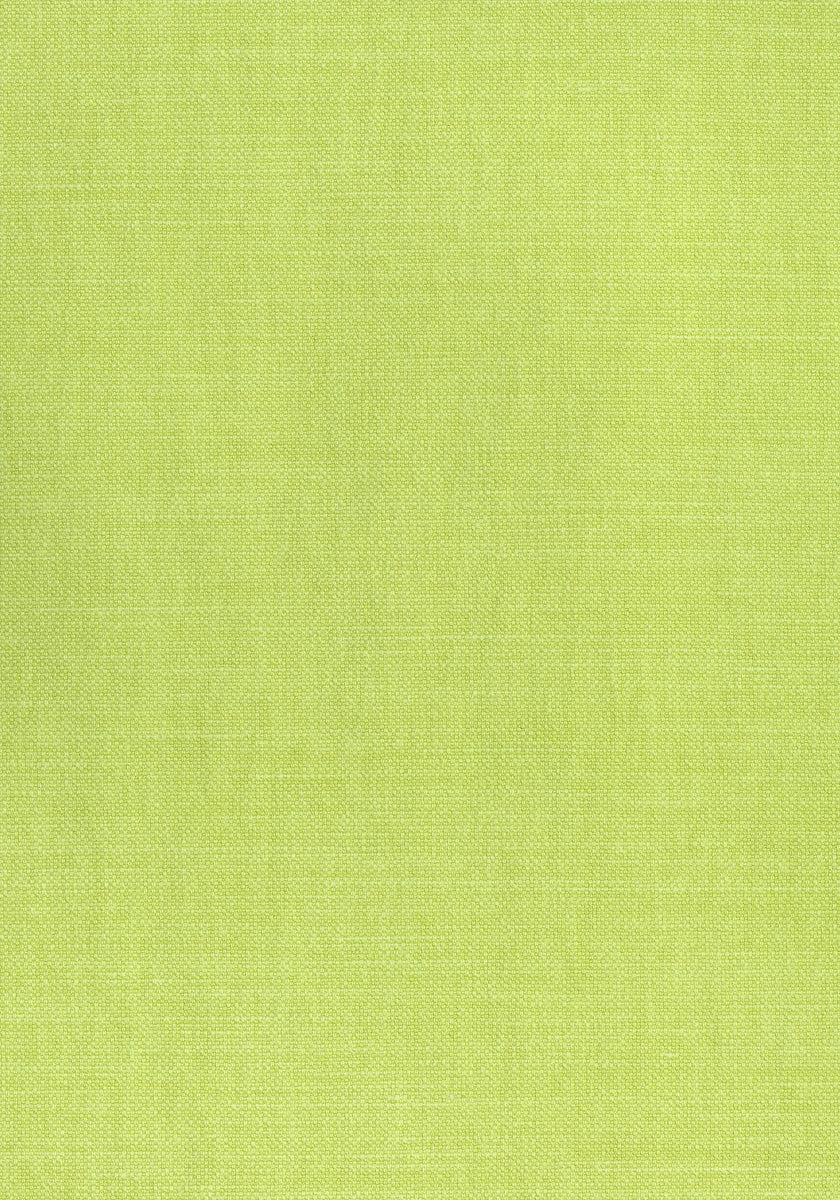 Thibaut Prisma Spring Green Fabric – DecoratorsBest