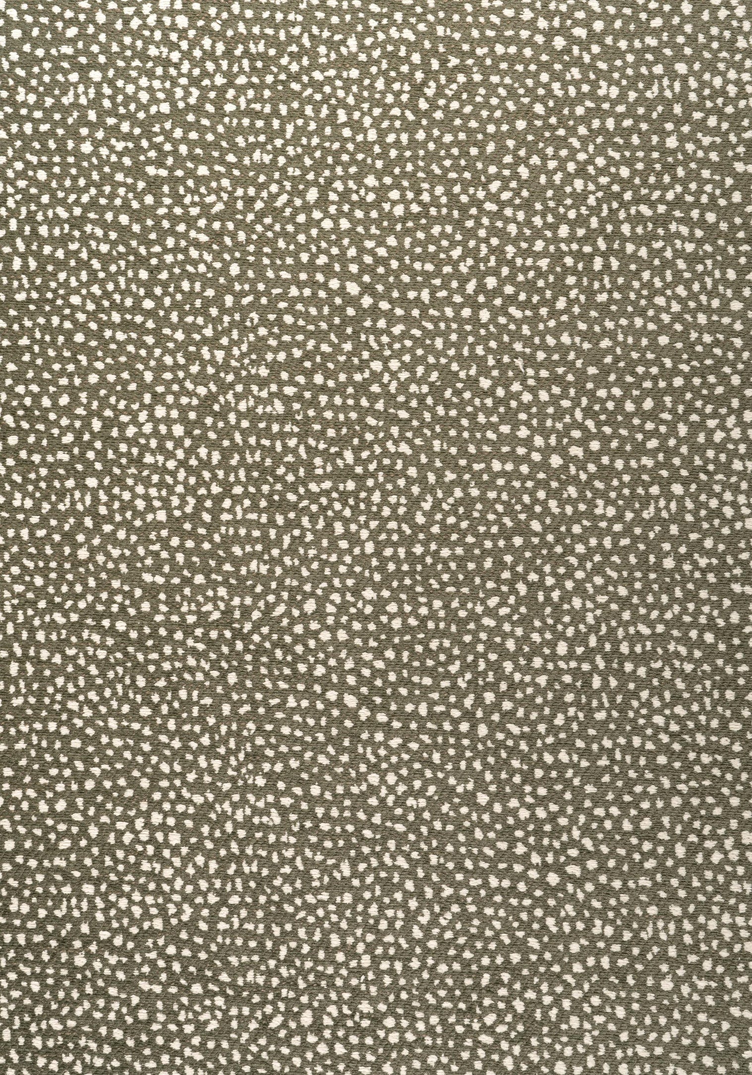 Thibaut Fawn Hickory Fabric – DecoratorsBest