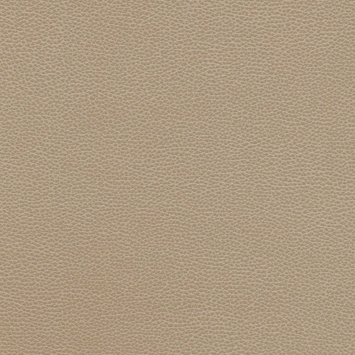Kravet Design Tannin 11 Upholstery Fabric – DecoratorsBest