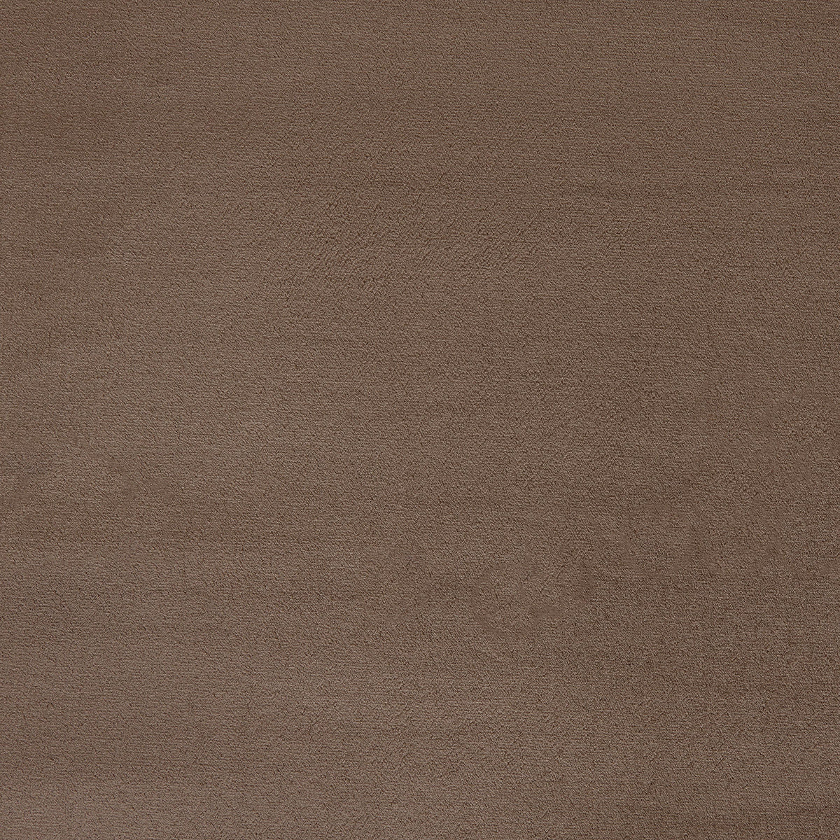 Donghia Moonlight Fossil Upholstery Fabric – DecoratorsBest