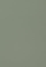 Thibaut Salta Jade Fabric – DecoratorsBest