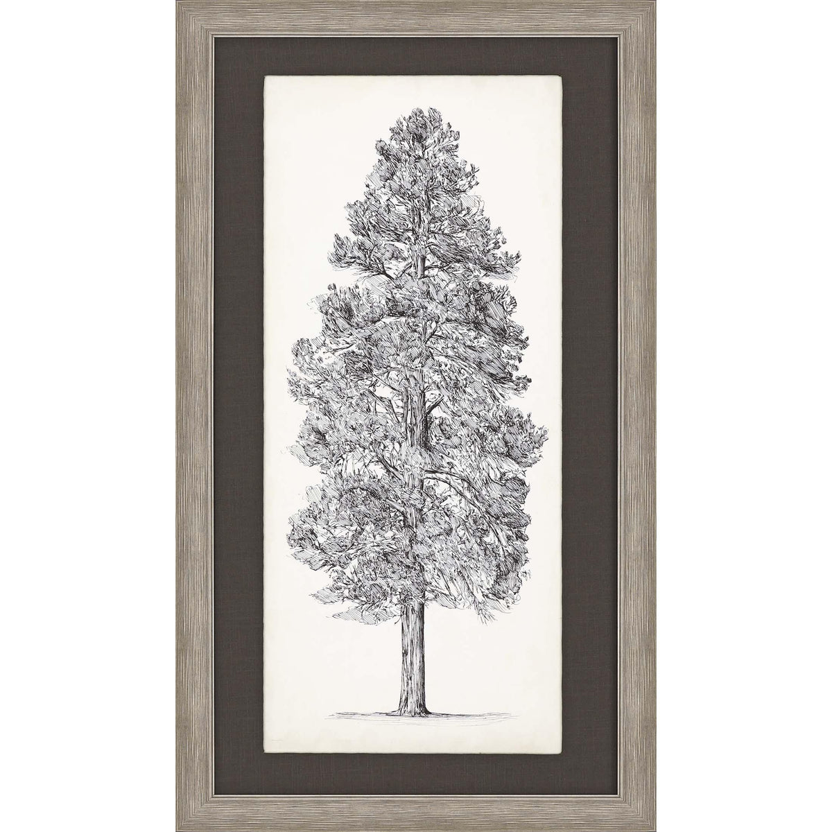 Paragon Tree Sketch Ii Brown 46 X 26 X 2 Wall Art – DecoratorsBest