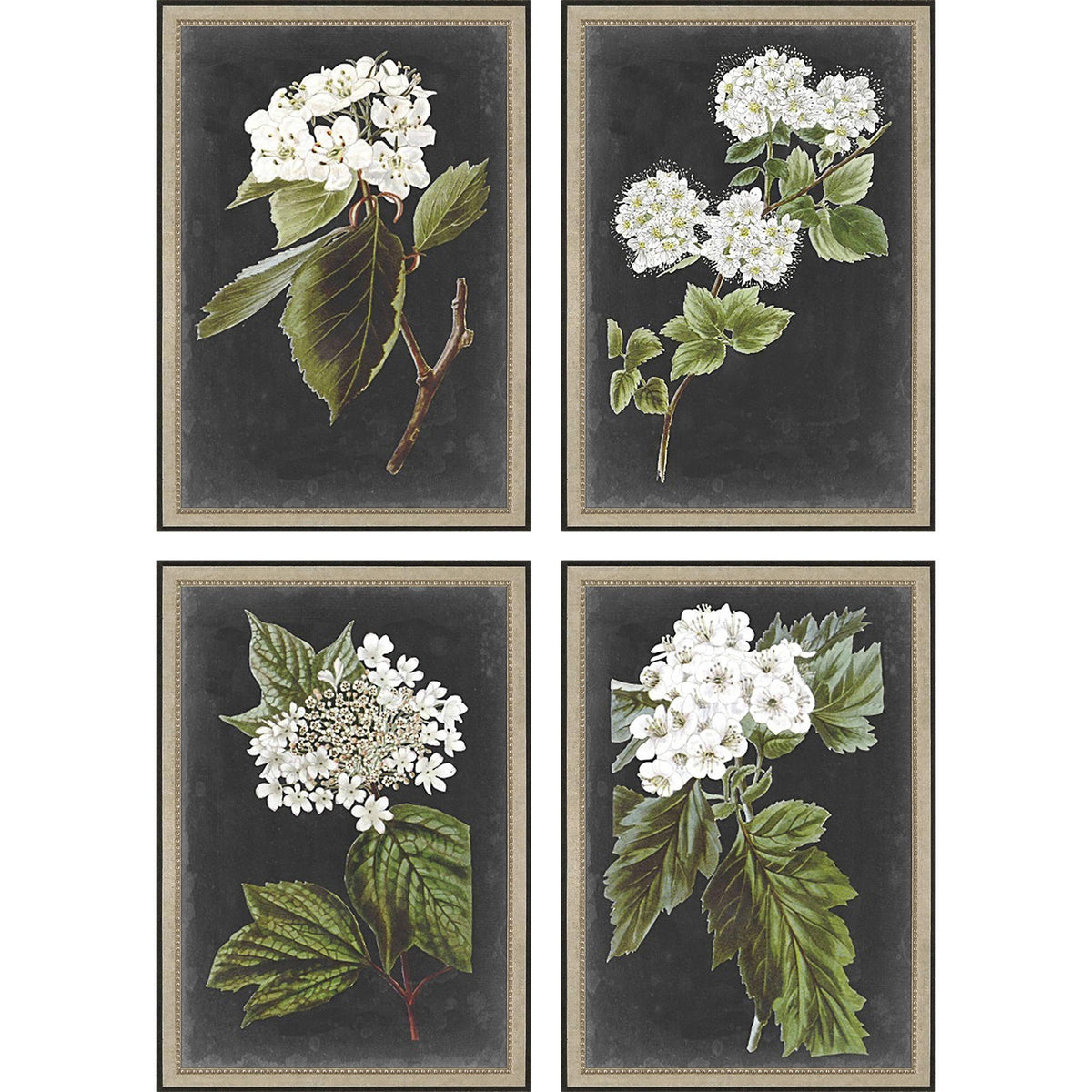 Paragon Dramatic White Flower S/4 Black 26 X 18 X 1 Wall Art ...