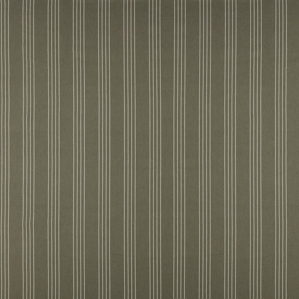 Maxwell Combe #619 Ivy Upholstery Fabric – DecoratorsBest