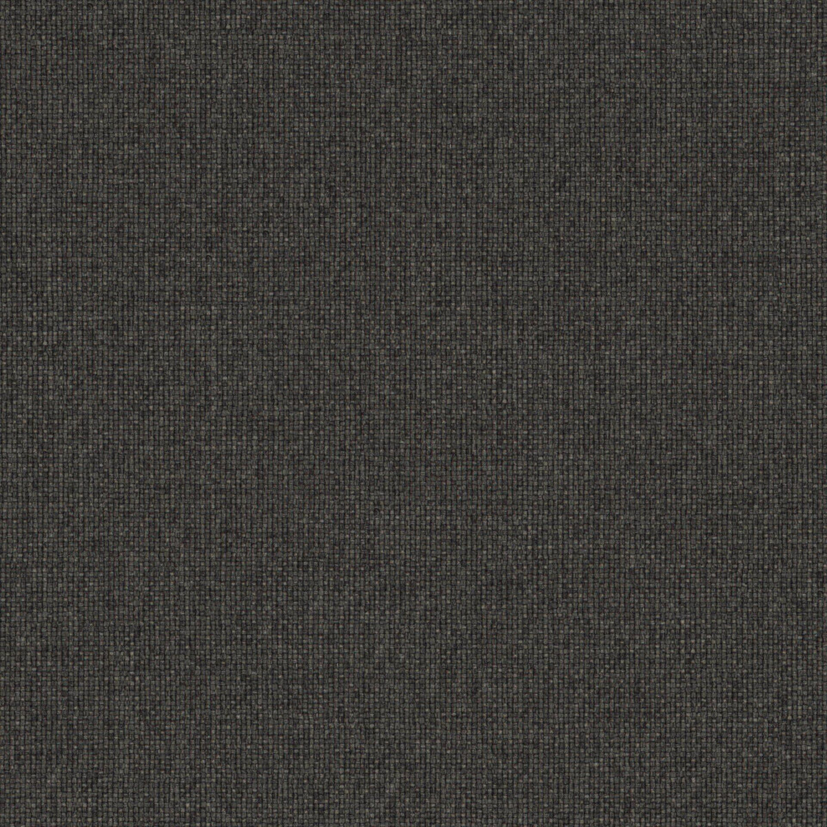 Maxwell Slogan #944 Raven Upholstery Fabric – DecoratorsBest