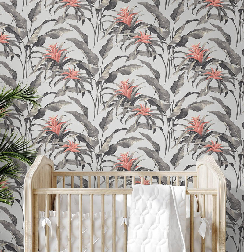 Seabrook Palma Metallic Silver & Coral Wallpaper – DecoratorsBest